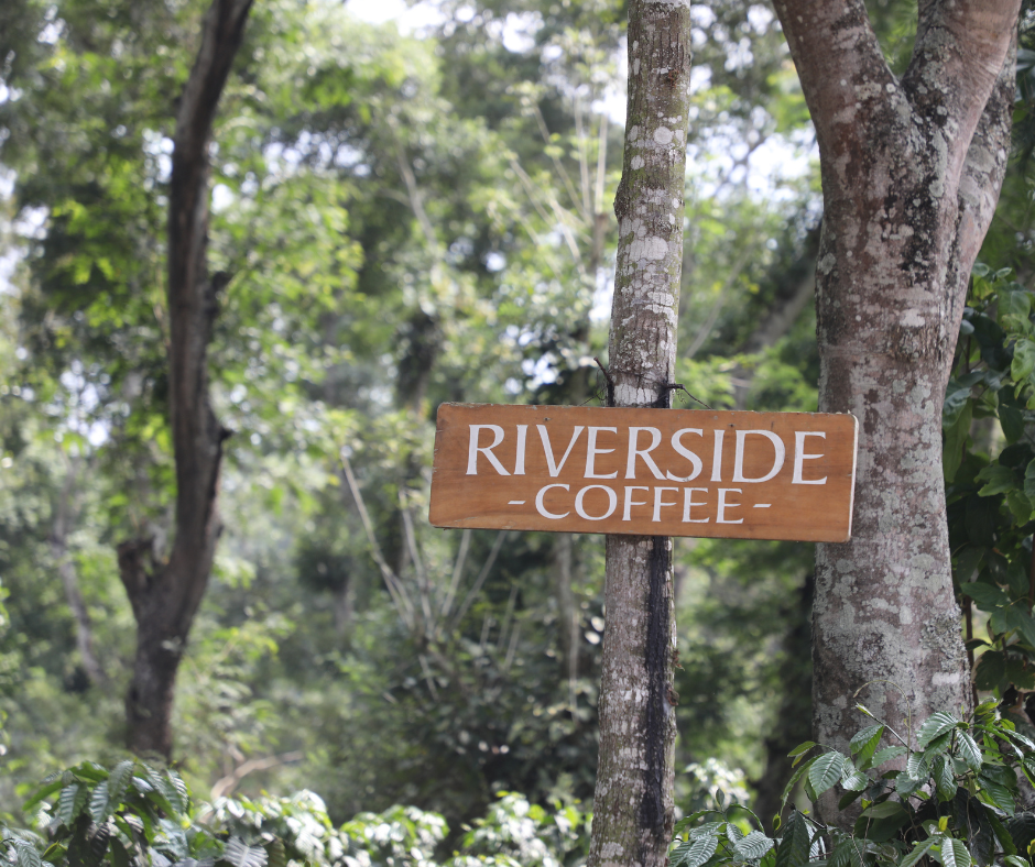About Us – RiverSide Coffee