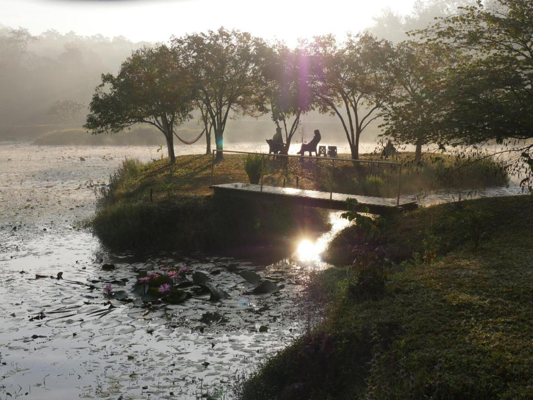 Cottages and Cafe – RiverSide Coffee