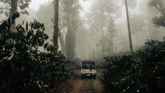 Estate – RiverSide Coffee