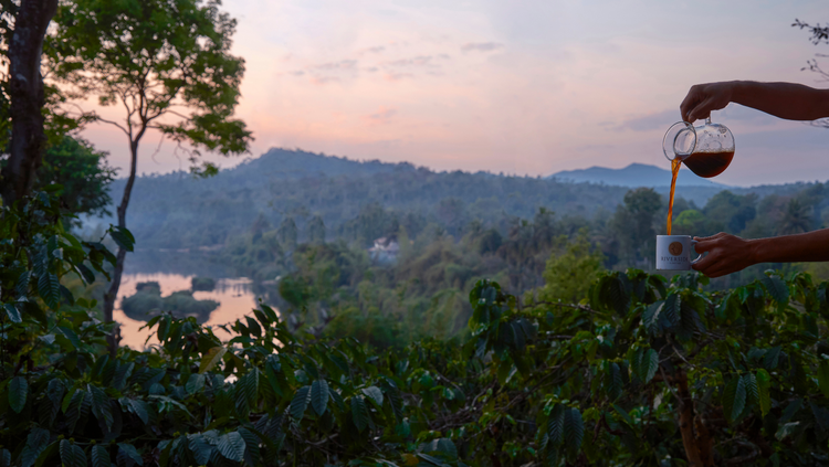Estate – RiverSide Coffee