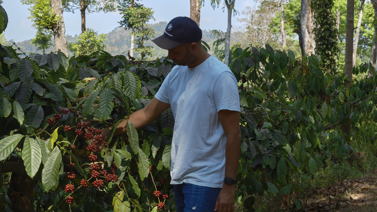 Estate – RiverSide Coffee